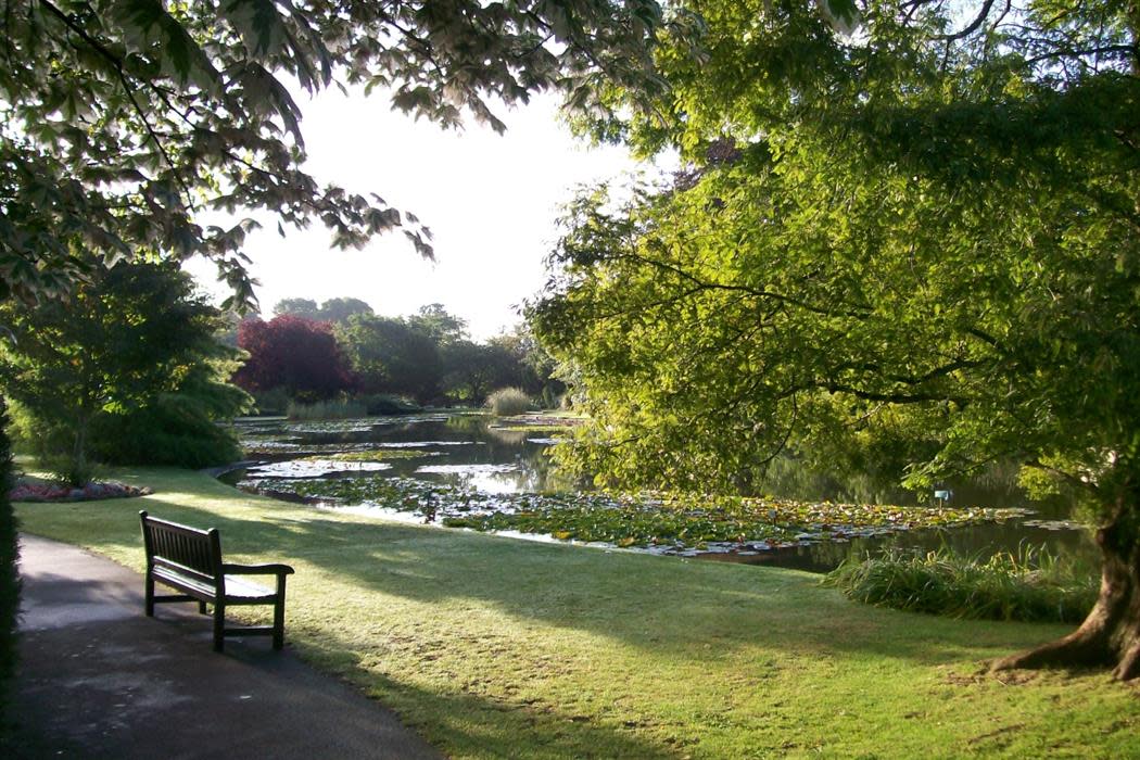 Burnby Hall Gardens