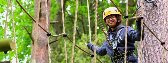 Tree Top Trail - Visit the New Forest