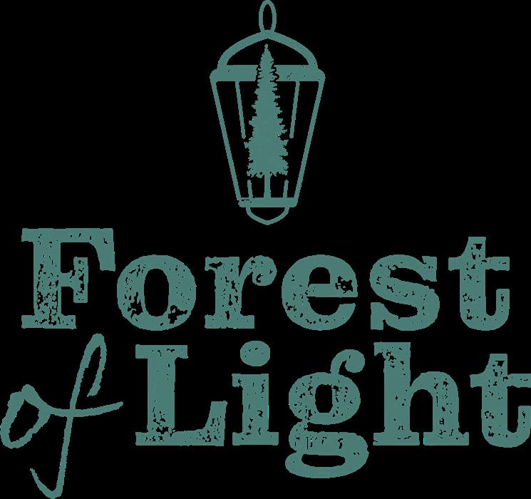 Forest of Light - Visit the New Forest
