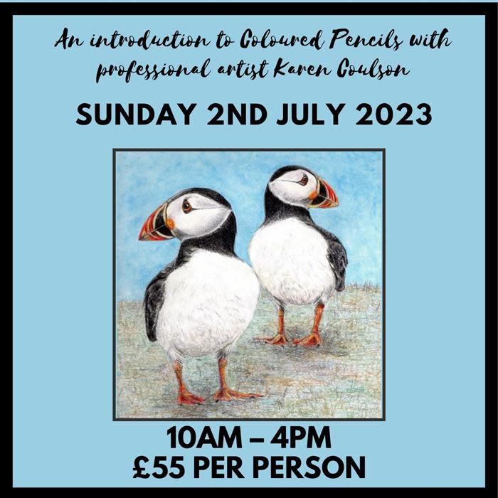 An introduction to Coloured Pencils with professional artist Karen ...