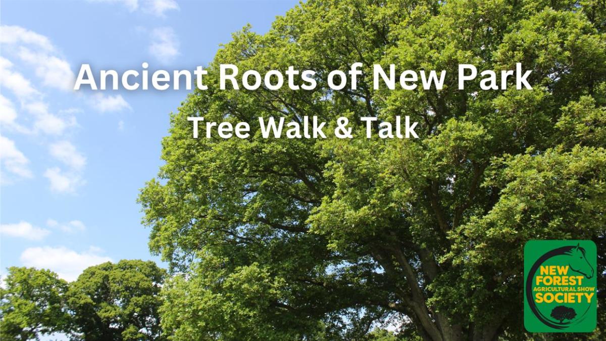 Ancient Roots of New Park - Tree Walk and Talk - Visit the New Forest