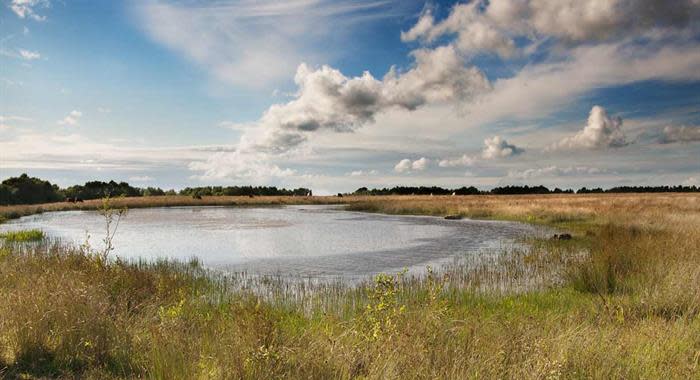 Bateswood Nature Reserve
