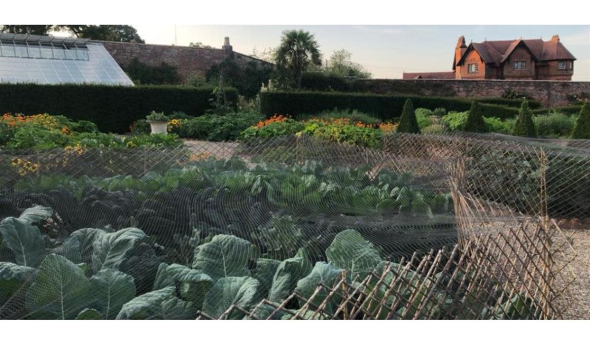 Walled Garden Talk: Ornamental Potager - Visit East Yorkshire