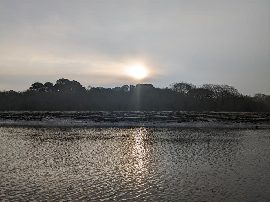 Beaulieu River Boat Tour - Visit the New Forest