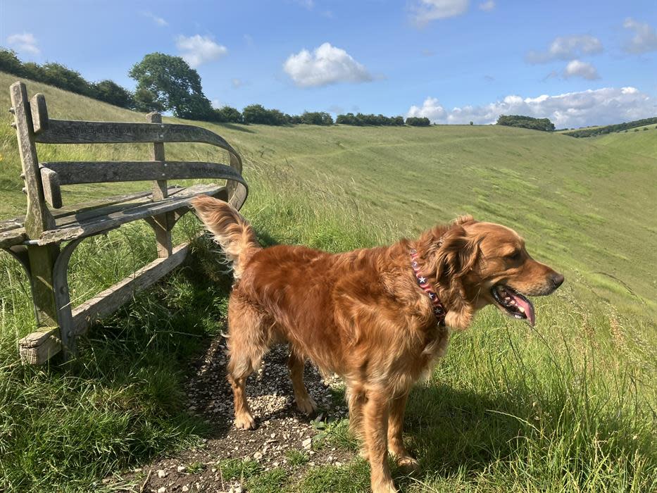 Walking The Wolds