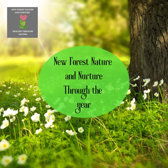 New Forest Nature and Nurture Through the year - Visit the New Forest
