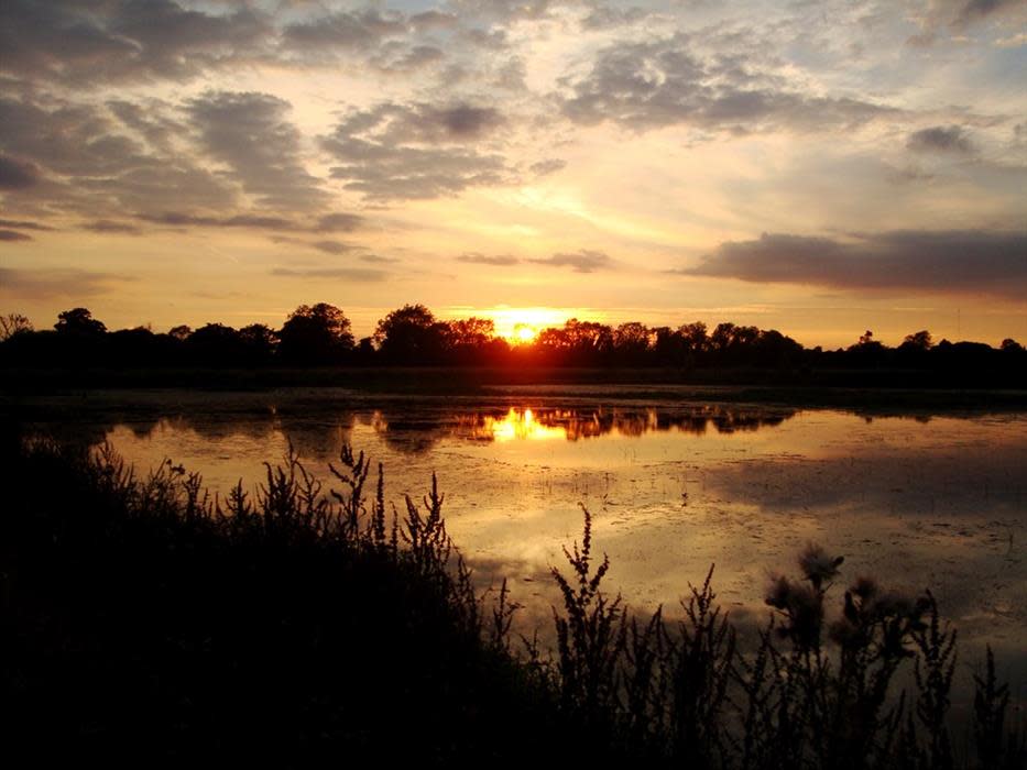 Winter Solstice Walk at RSPB Middleton Lakes