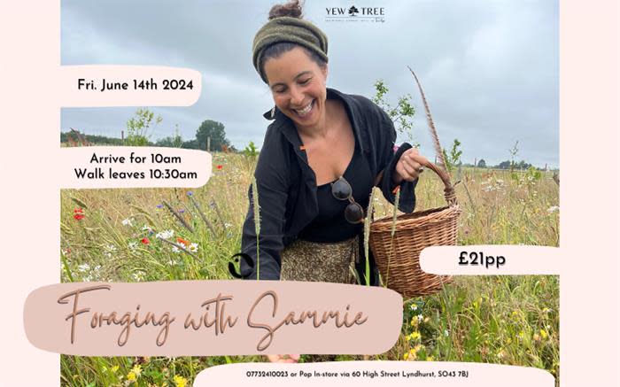 Summer Foraging with Sammie - Visit the New Forest