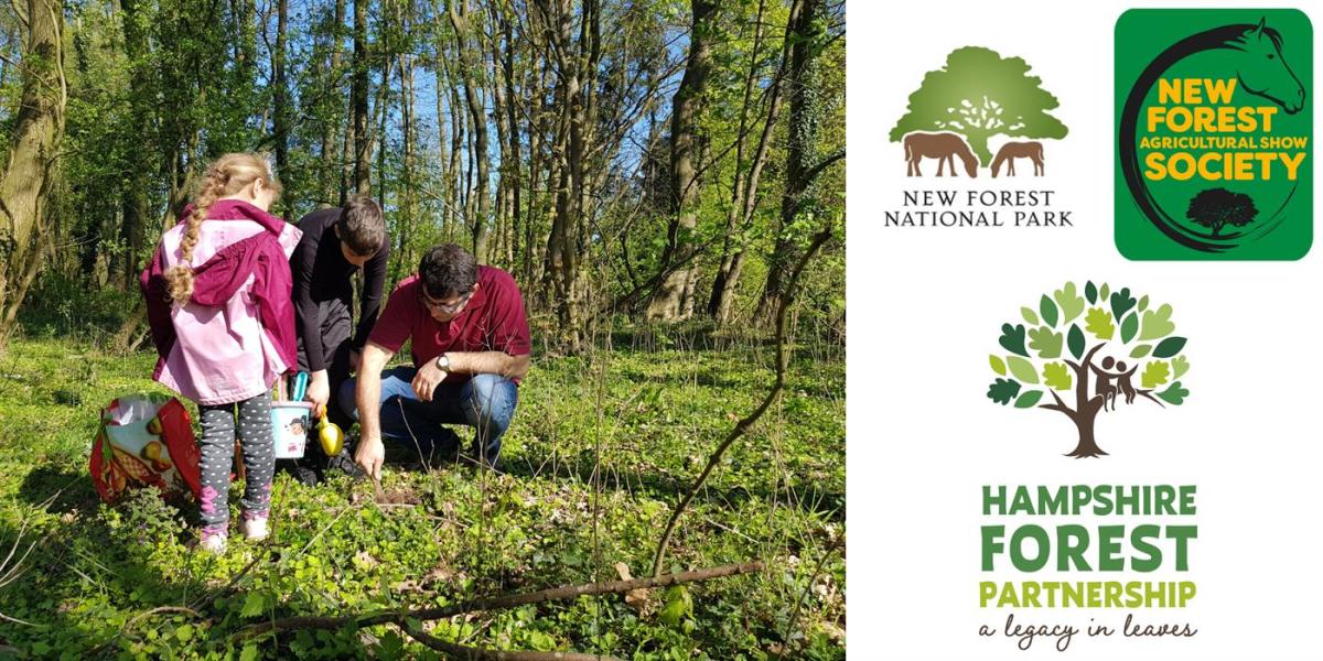 Family Tree Planting Event - Visit the New Forest