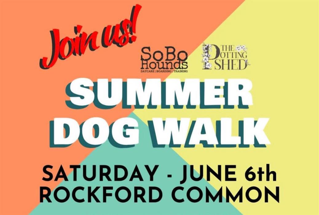 Summer Dog Walk with The Potting Shed - Visit the New Forest
