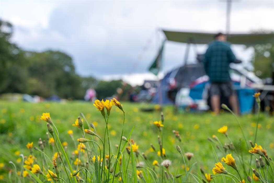 Hinton Admiral Camping @ Beckley - Visit the New Forest
