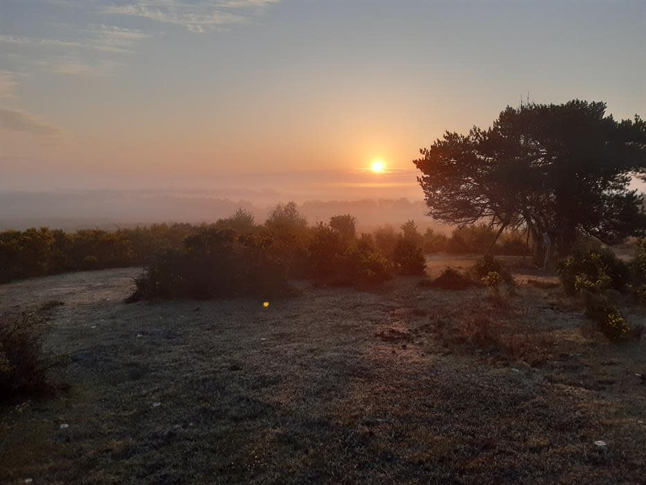 Hampton Ridge Dusk Explorer Walk - Visit the New Forest