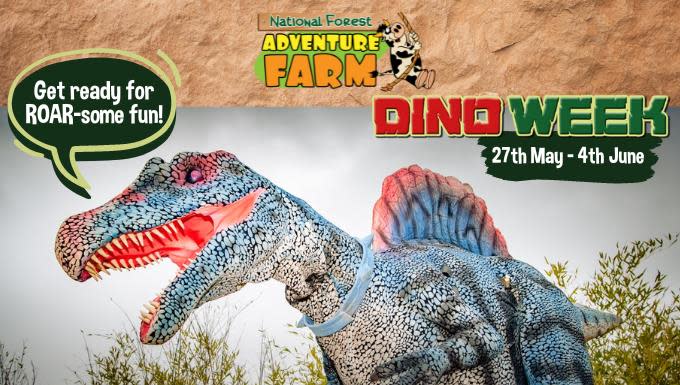 Dino Week!