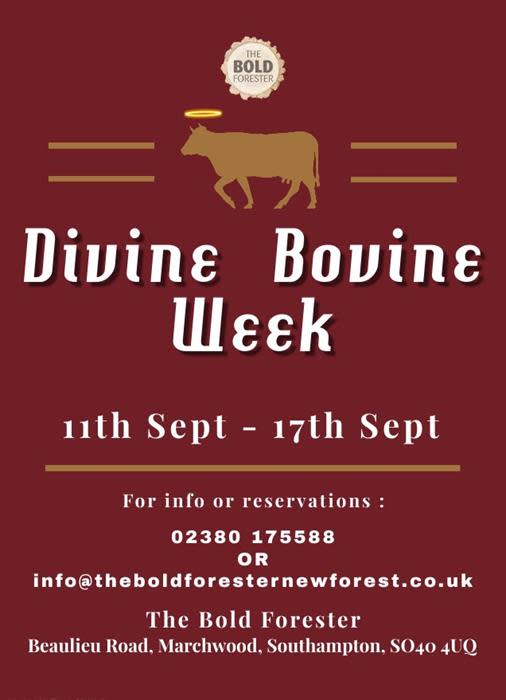 Divine Bovine Week - Visit the New Forest