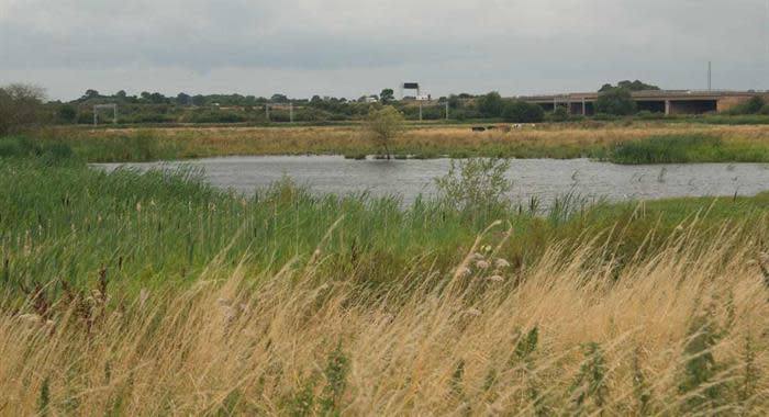 Doxey Marshes Nature Reserve