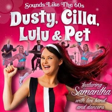 Dusty, Cilla, Lulu and Pet - Visit the New Forest