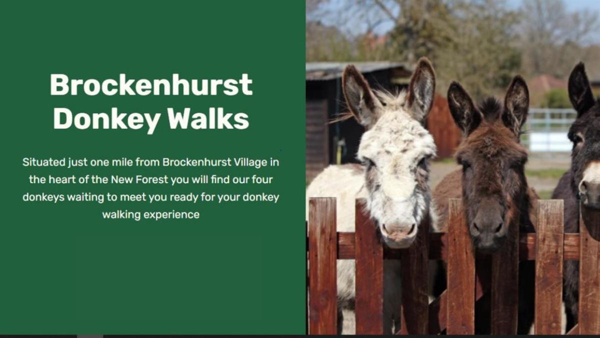 Brockenhurst Donkey Walks - Visit the New Forest
