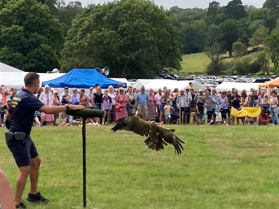 Burley Village Show - Visit the New Forest