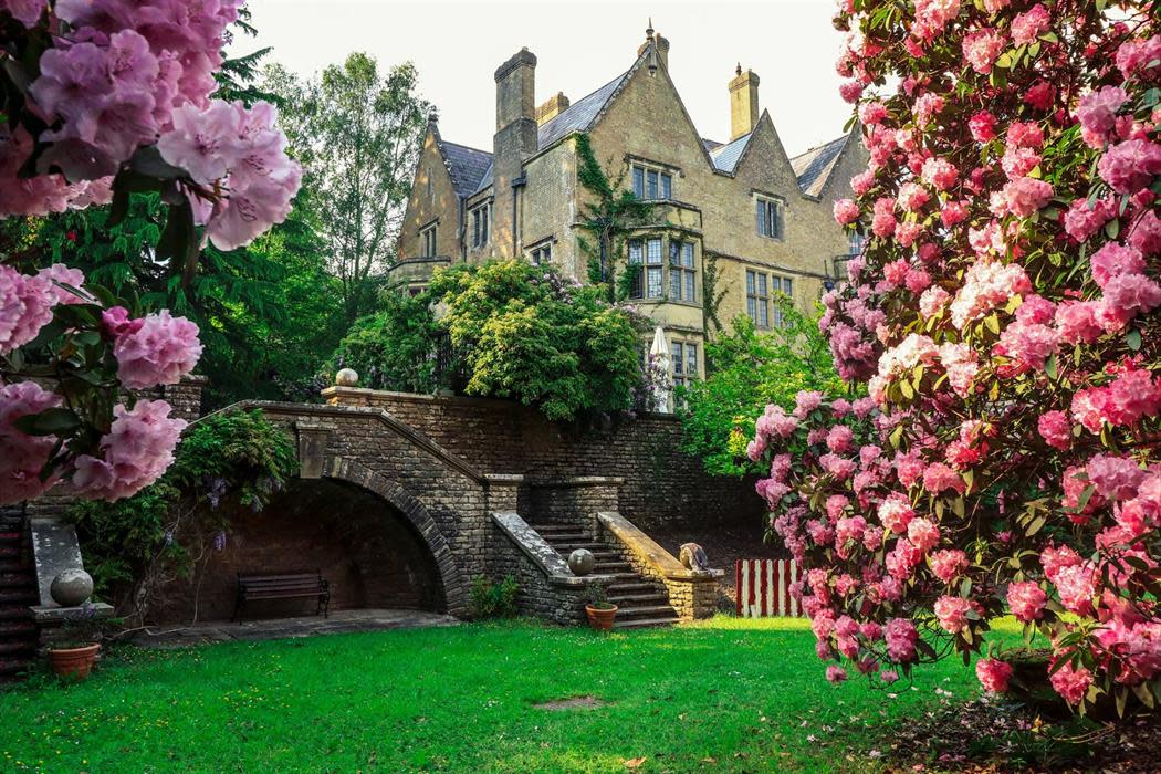 Afternoon Tea at Minstead Lodge - Visit the New Forest
