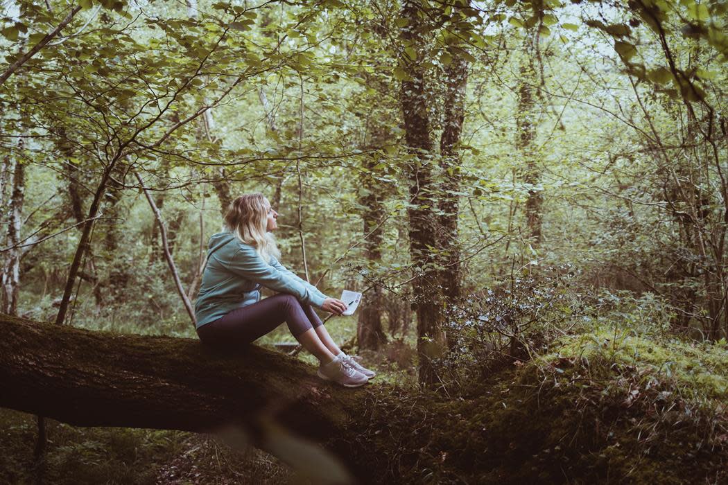 Forest Bathing - Visit the New Forest