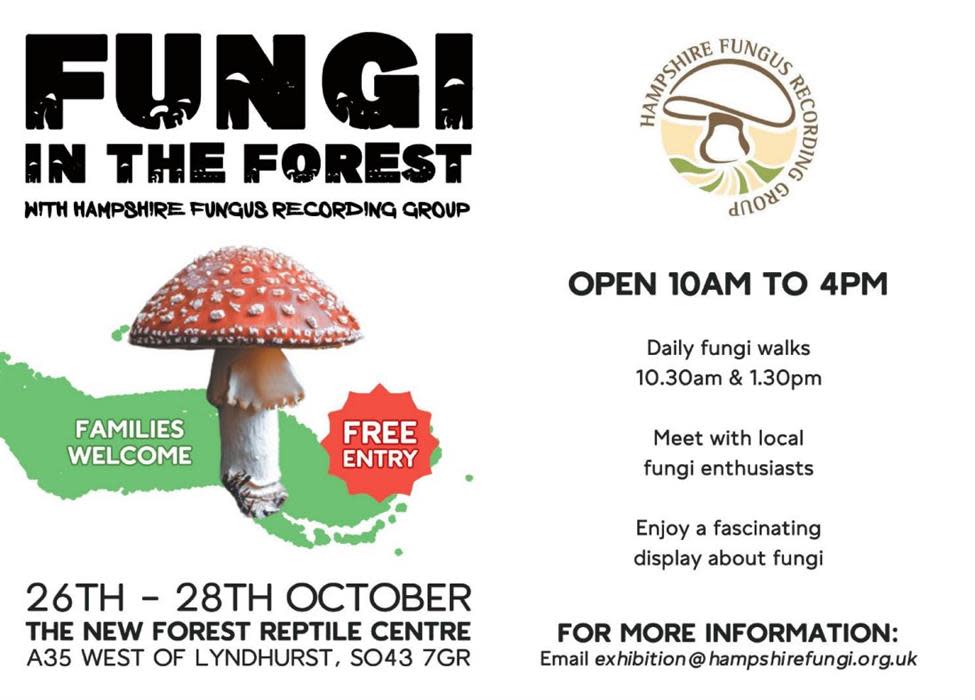 Fungi in the Forest - Visit the New Forest