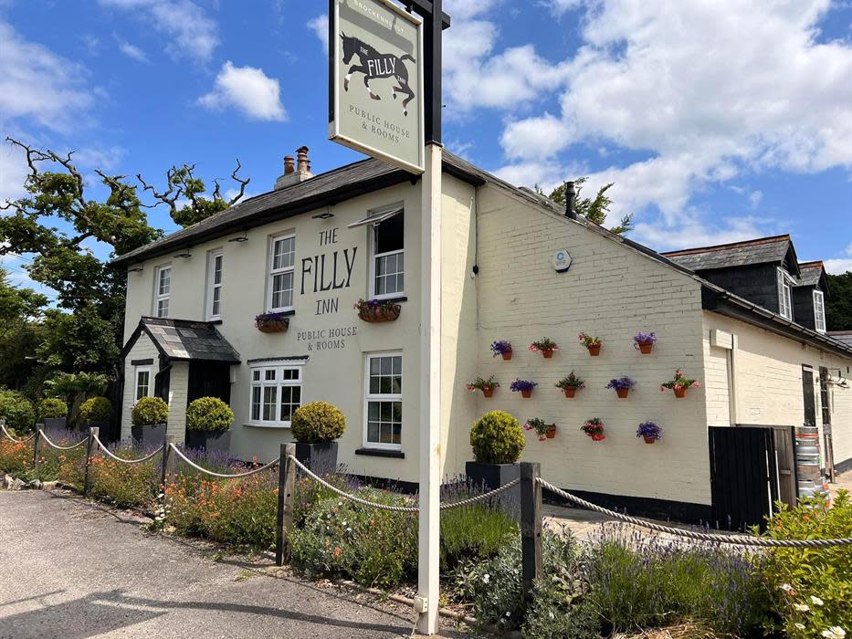 The Filly - Visit the New Forest