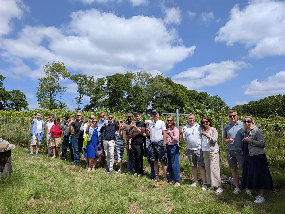 Grape & Grain Tour - New Forest - Visit the New Forest
