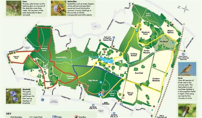 High Woods Country Park Walks - Visit Colchester