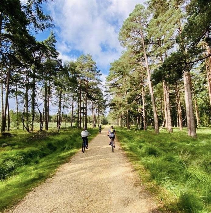 Bike Hire May Half Term! - Visit the New Forest