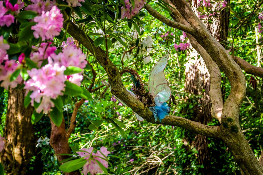 New Forest Folklore: Fairies, Witches & Dragon Trail - Visit the New Forest