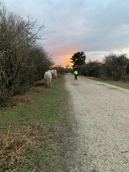 Cycle off those pancakes! - Visit the New Forest