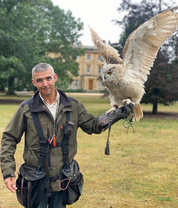 Falconry Days - Visit the New Forest