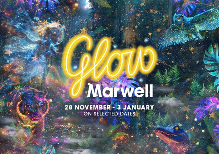 Glow Marwell 2025 - Visit the New Forest