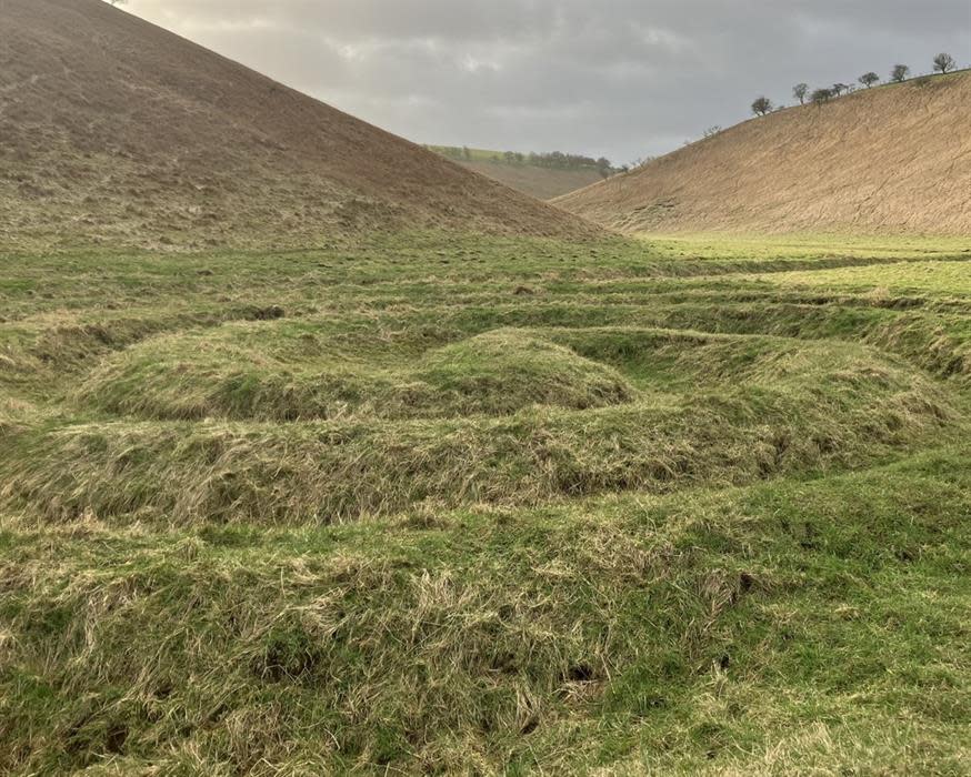 Midsummer Meander with Walking the Wolds - Visit East Yorkshire