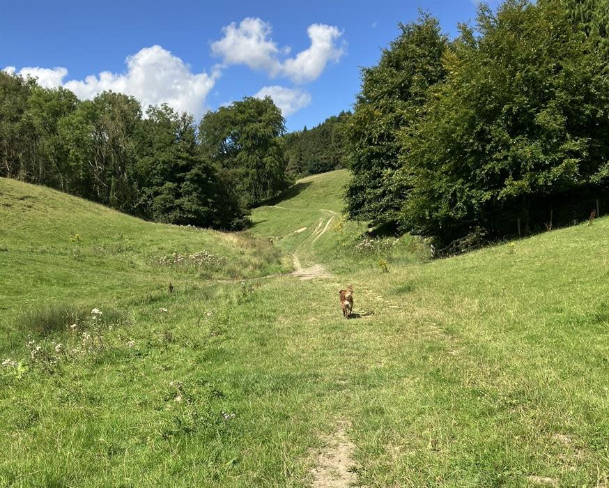 Millington Summer Lunch Saunter with Walking the Wolds - Visit East ...