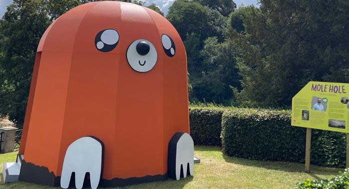 Bruce Asbestos’s Mole Hole Installation