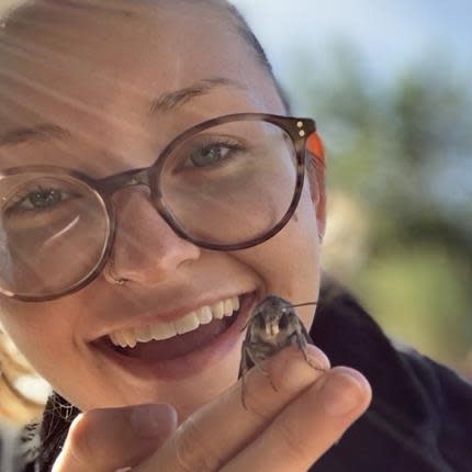 Moth Morning - Visit the New Forest