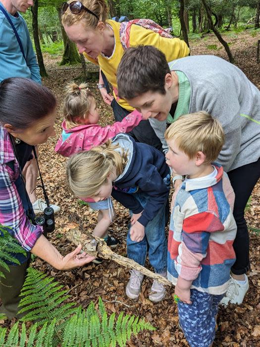 Family fun in the Forest - Visit the New Forest