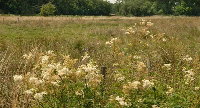 Pasturefields Salt Marsh Nature Reserve
