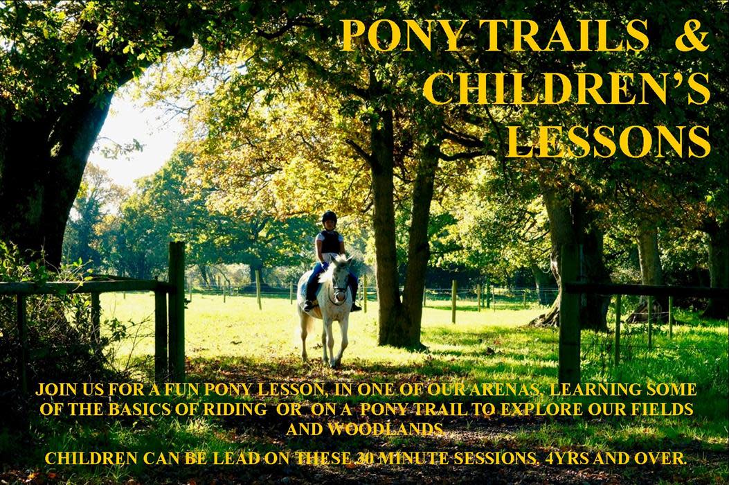 Burley Villa School of Riding - Visit the New Forest