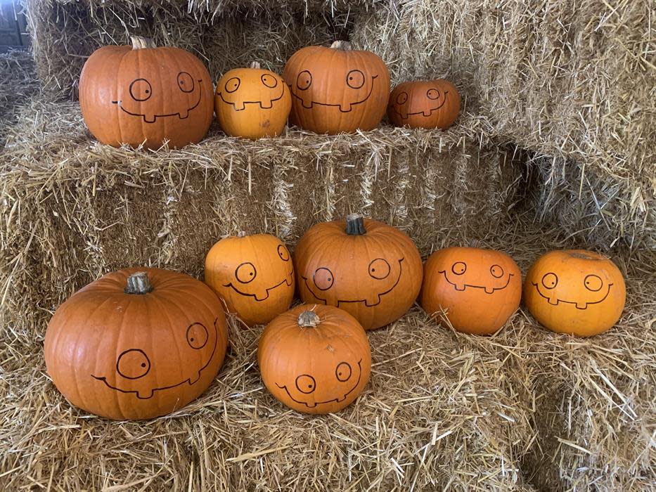 A Frightfully Fun Time at the Farm - Visit the New Forest