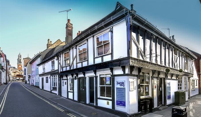 Purple Dog - Visit Colchester