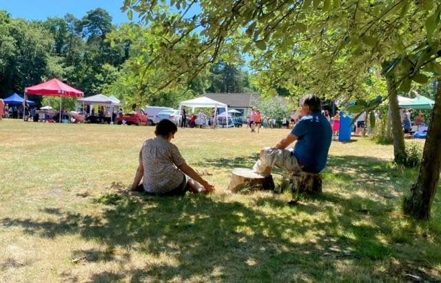 Summer Festival - Visit the New Forest
