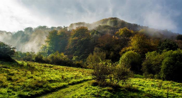 RSPB Coombes Valley and Consall Woods