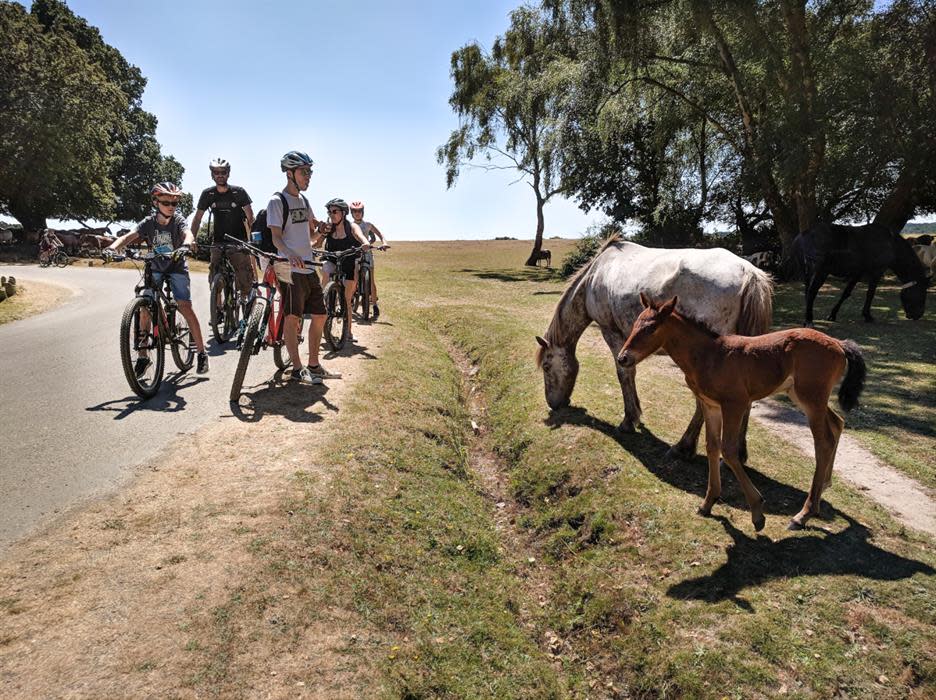 Enjoy an Easter cycle ride with Cyclexperience, in the heart of the New ...