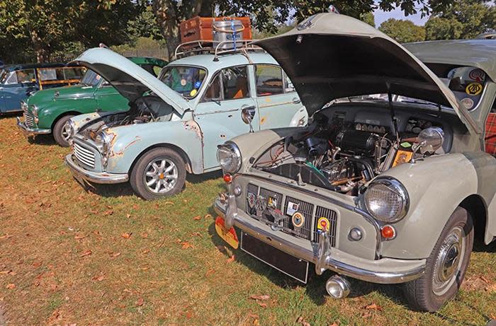 Simply British Classics - Visit the New Forest