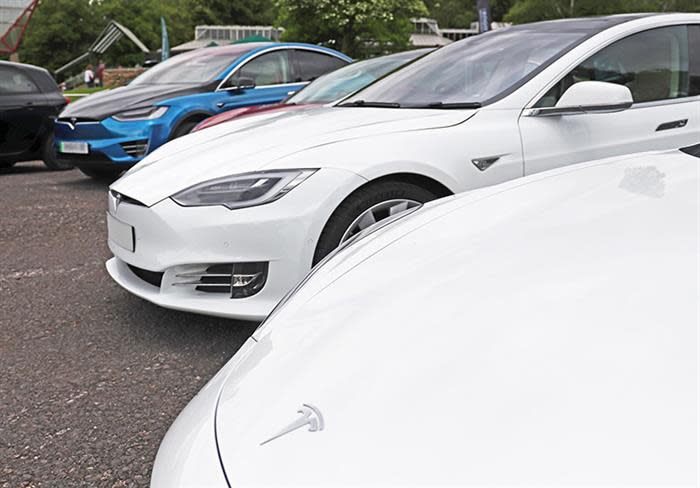 Simply Tesla - Visit the New Forest