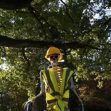 Spooky Skeleton Garden Trail