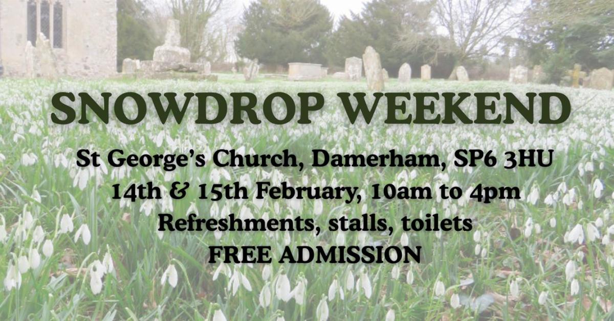 Snowdrop Weekend - Visit the New Forest