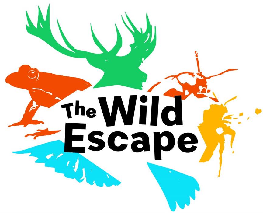 Forest Flag Design Activity - Visit the New Forest